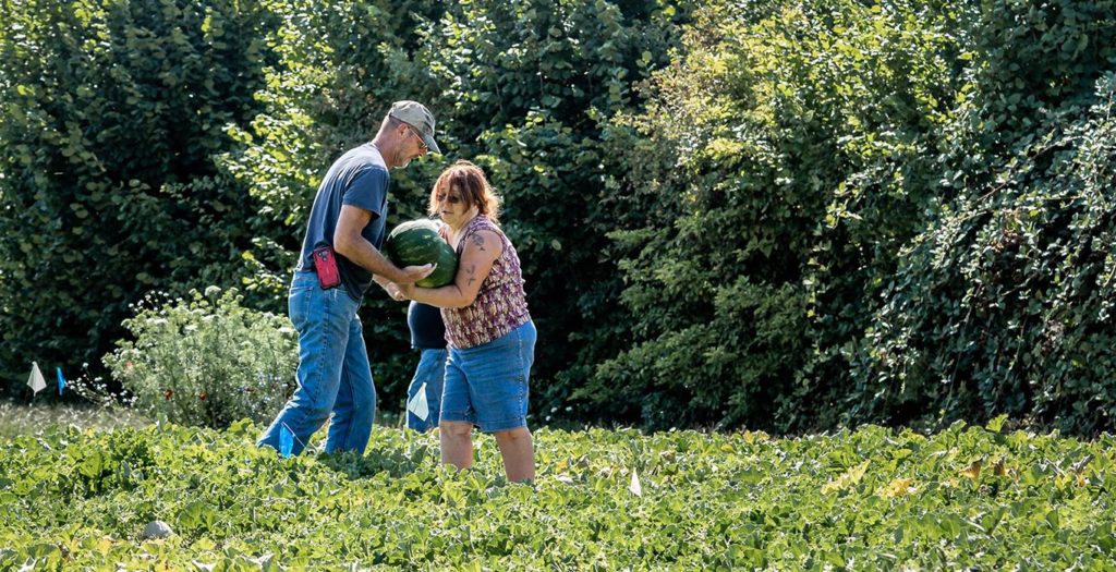 Celebrating 40 Years | Community Services Consortium